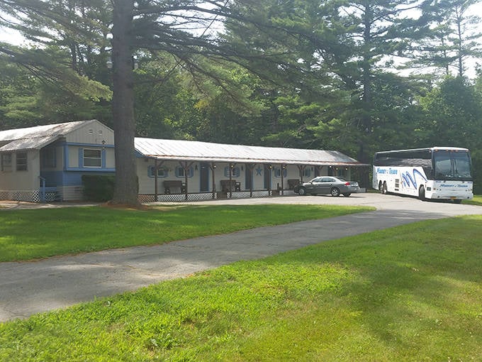 Whispering Pines Motel offers no-frills lodging surrounded by Maine's signature evergreens, where tour buses and travelers find respite from the road.