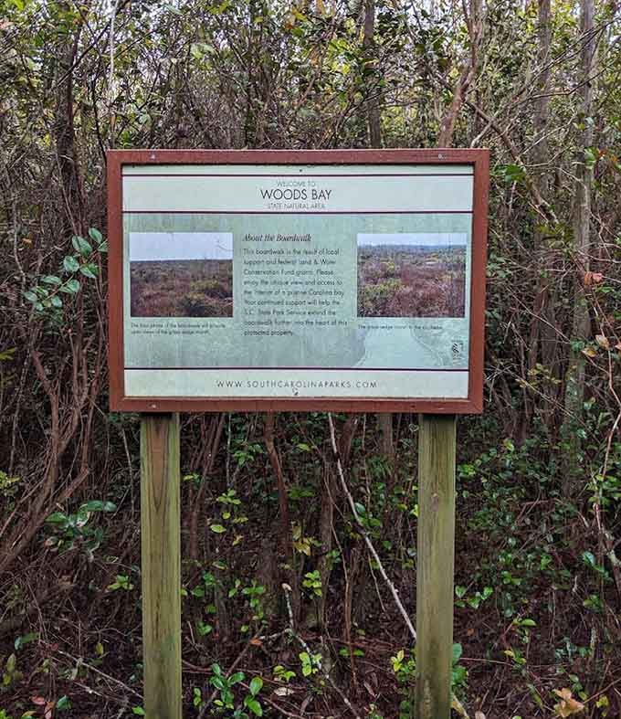 Educational signs share the bay's secrets without spoiling the mystery of what you'll discover yourself today.