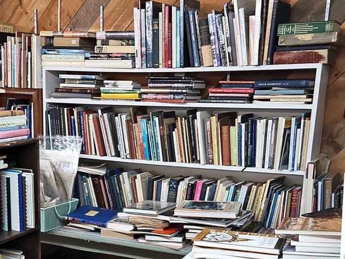 Books stacked with the beautiful chaos of a well-read life. Each spine represents someone's former literary companion, waiting for its next adventure.