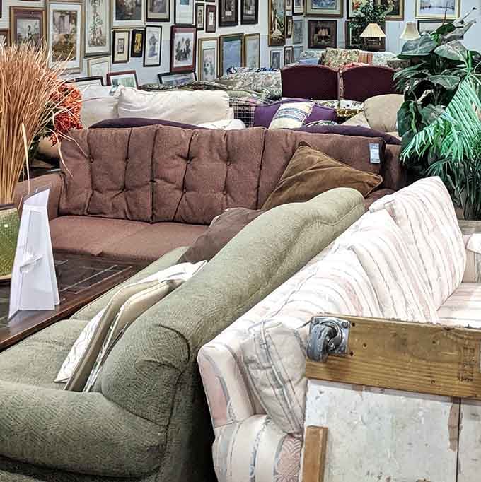 Couch potato paradise—where comfortable seating options with plenty of life left invite you to put your feet up without putting your budget down.