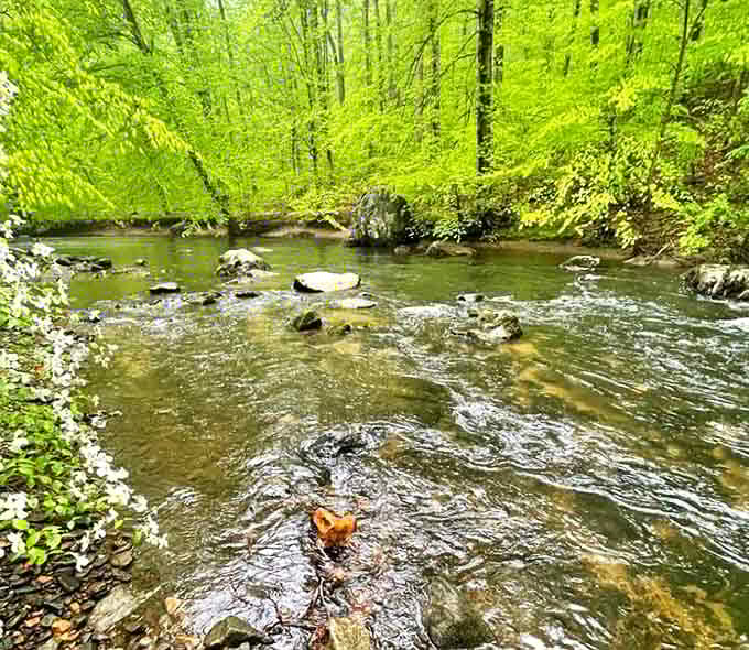 Spring's grand awakening &ndash; when Ridley Creek's waters run clear and the trees dress in their freshest, most vibrant greens.