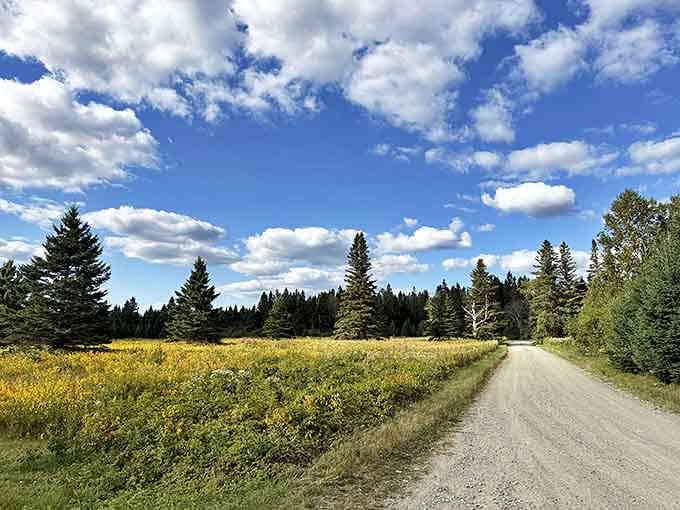 This dirt road promises adventures without billboards or traffic lights. The original information superhighway.
