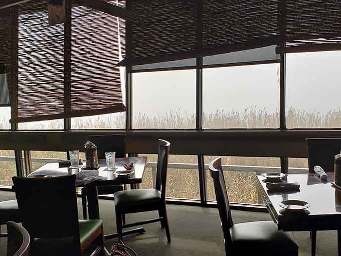 Bamboo blinds filter the afternoon light, creating a dining sanctuary where the outside world fades away with each delicious bite.
