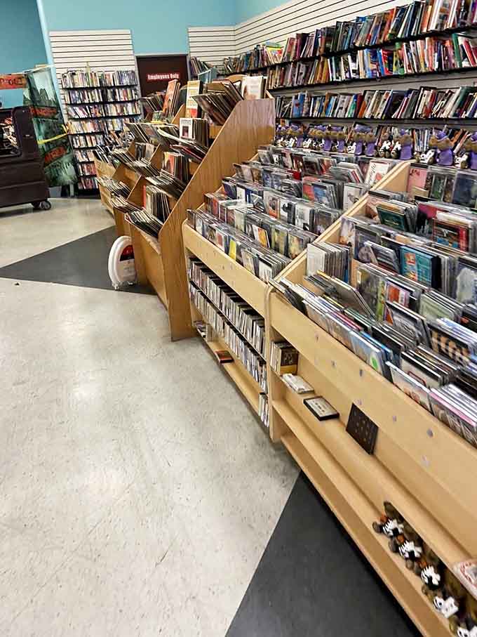 Media heaven for collectors and nostalgia-seekers. Those DVDs and books hold forgotten classics and guilty pleasures waiting to be rediscovered.