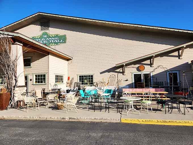 The outdoor display area—where garden furniture basks in the Washington sunshine, waiting for new patios to call home.