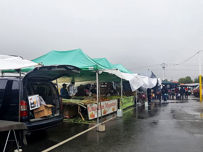 Even on rainy days, the swap meet soldiers on. These vendors aren't letting a little precipitation rain on their commercial parade.