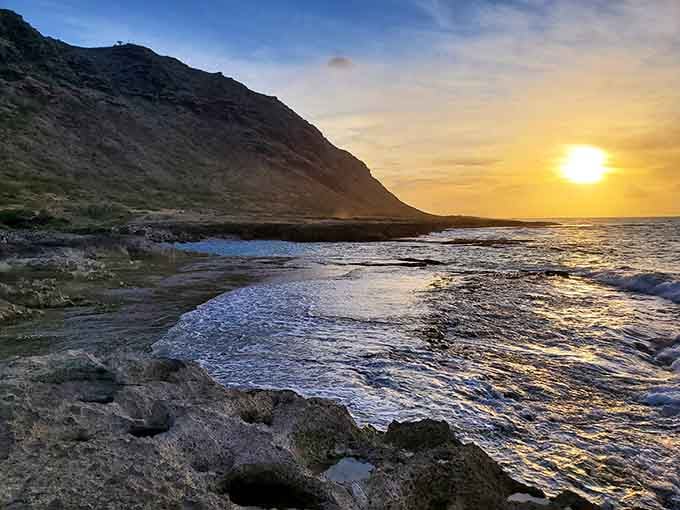 Seabird education station: where you learn that albatross are basically the marathon flyers of the bird world.