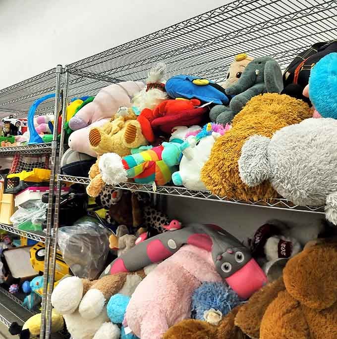 Stuffed animals piled high enough to make a carnival prize booth jealous, minus the impossible ring toss game and overpriced tickets.