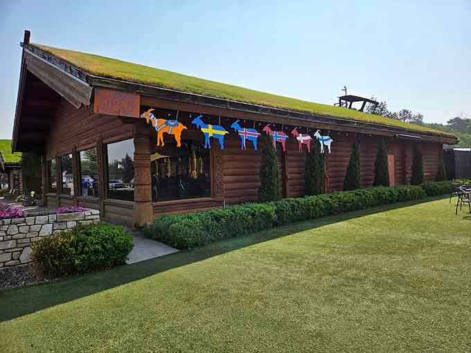 The full view reveals the architectural charm and those famous rooftop residents who've made this place a Wisconsin legend.