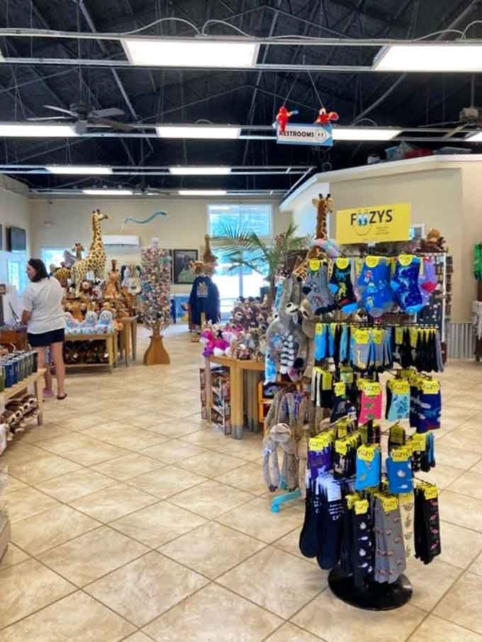 The gift shop interior packed with safari-themed treasures, because no adventure is complete without commemorative fuzzy socks.