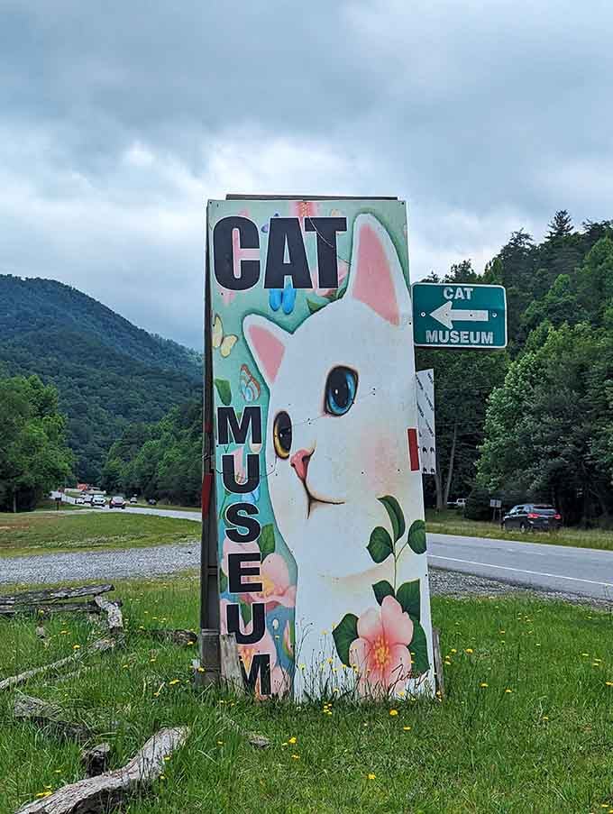 The roadside sign practically screams "turn around immediately" to anyone who isn't ready for serious cat commitment.