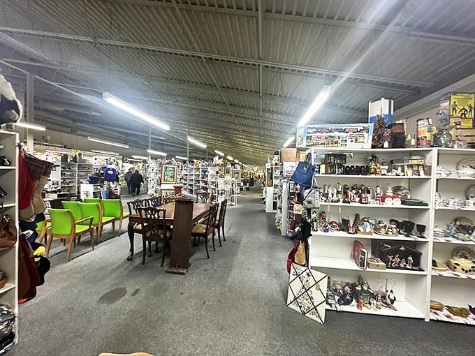 The vast interior where furniture mingles freely with collectibles in organized chaos that somehow works perfectly.