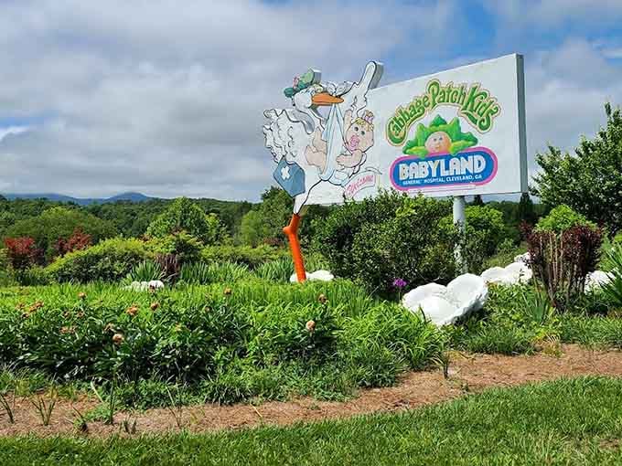 The sign featuring a stork delivering a Cabbage Patch Kid, in case you had any remaining questions about this place's commitment.