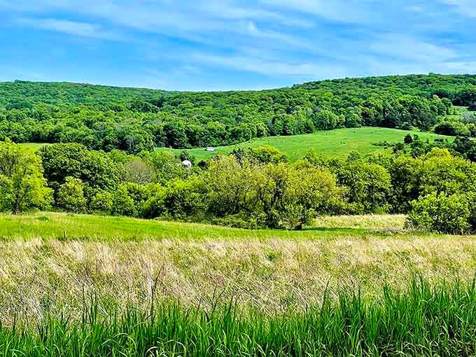 The rolling hills surrounding Baraboo create that quintessential Wisconsin landscape that makes you understand why people never leave.