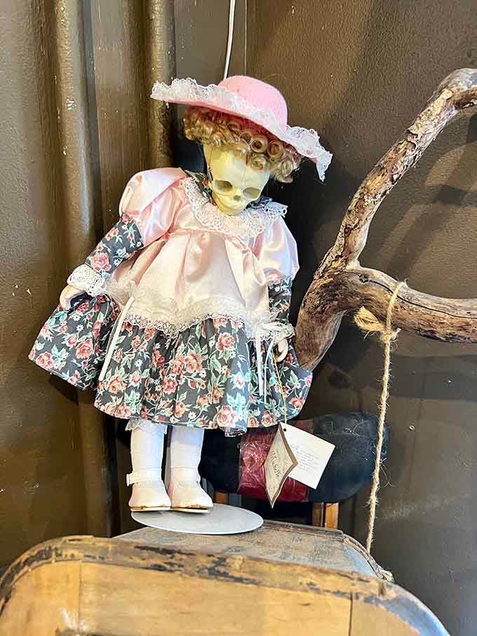Even the collectible dolls here have that slightly unsettling charm that makes them perfect for true curiosity collectors everywhere.