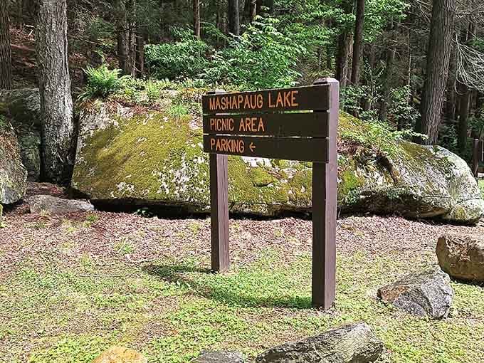 Mashapaug Lake's picnic area: where moss-covered boulders serve as nature's original landscape architecture.