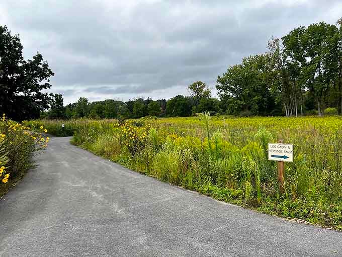 Nature trails extending beyond the playground, because sometimes the best adventures happen when you keep exploring further.
