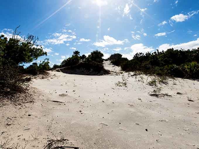 Pristine sand dunes rolling toward the forest, where the beach gradually transitions back to wilderness.