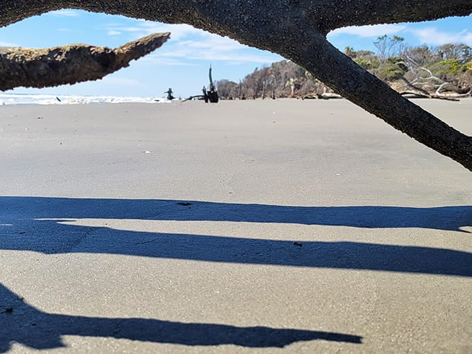 Natural frames created by fallen branches offer picture-perfect views of this surreal coastal landscape beyond.