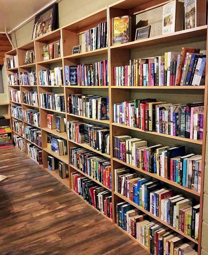 A bibliophile's dream come true. These shelves don't just hold books&mdash;they contain worlds waiting to be rediscovered one spine at a time.