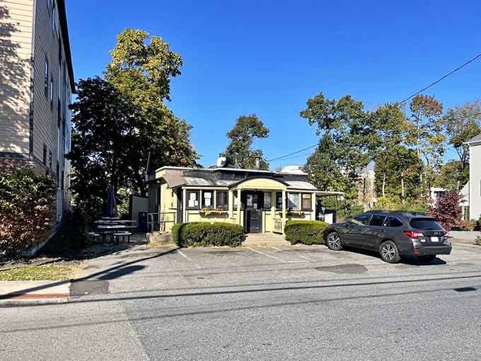 The whole charming package sits there like a time traveler, perfectly content being exactly what it's always been.