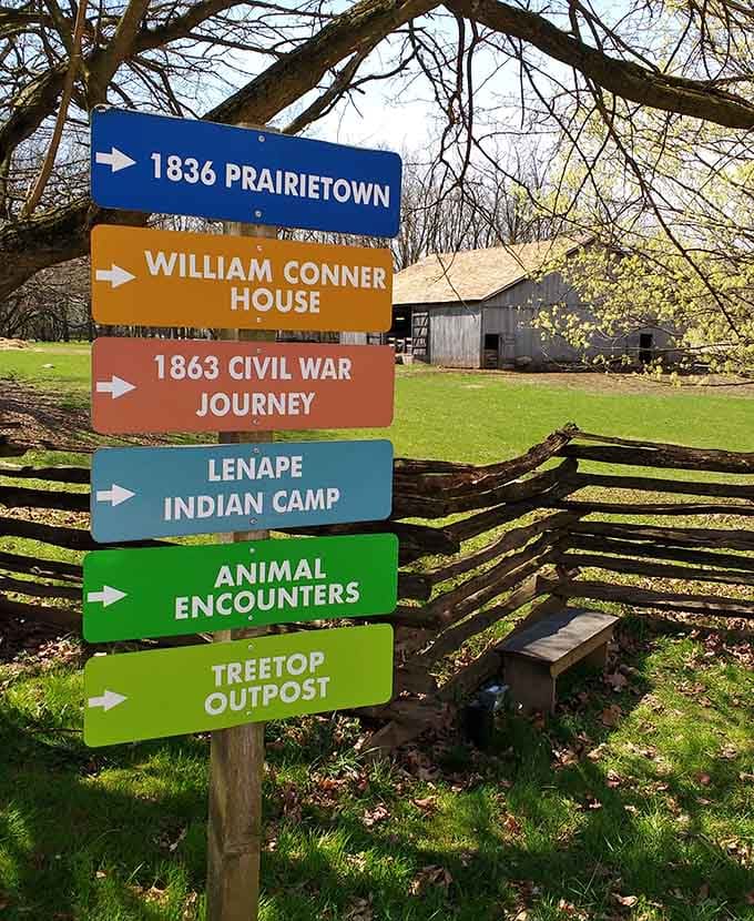 These colorful signs point you toward different centuries, making time travel as simple as choosing which direction to walk first.