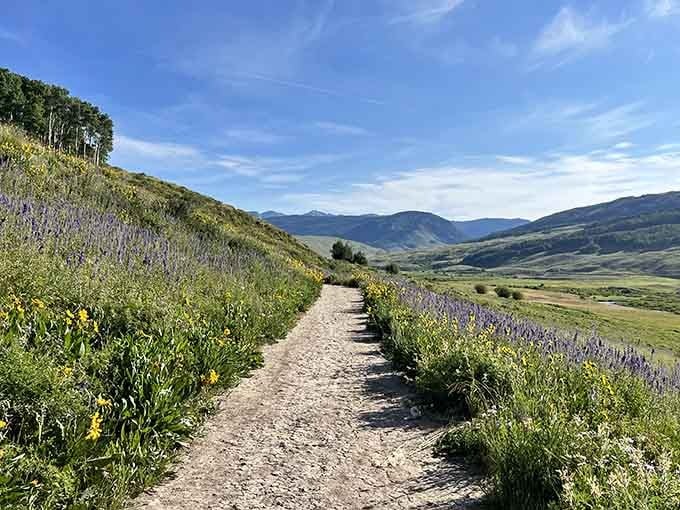 Wildflower trails explode with color each summer, proving nature doesn't need filters to look absolutely spectacular and Instagram-worthy.