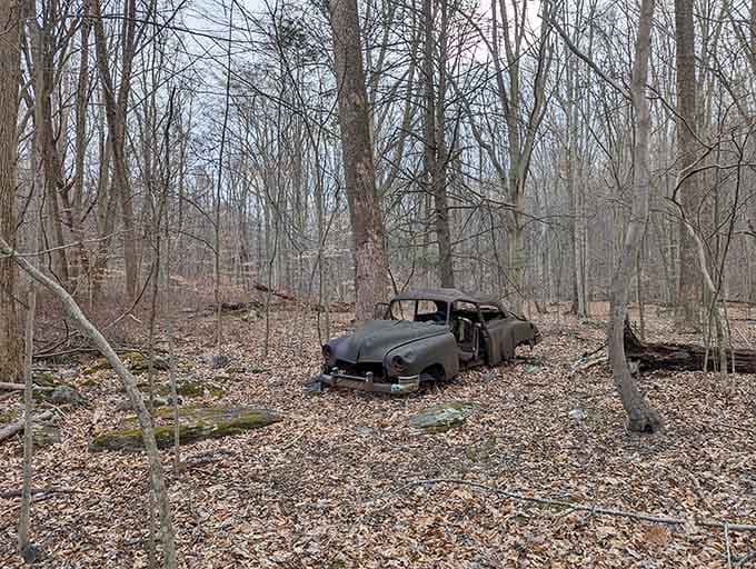 Even abandoned cars become part of the landscape here, rusting relics that add unexpected character to trails.