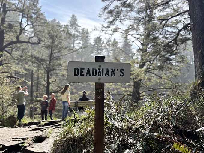 That trail sign marks the beginning of your journey to one of Washington's most photogenic and underrated coastal treasures.