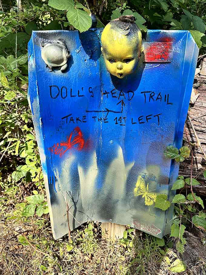 Clear directions ensure you won't miss a single unsettling, fascinating, or oddly beautiful installation along the way.