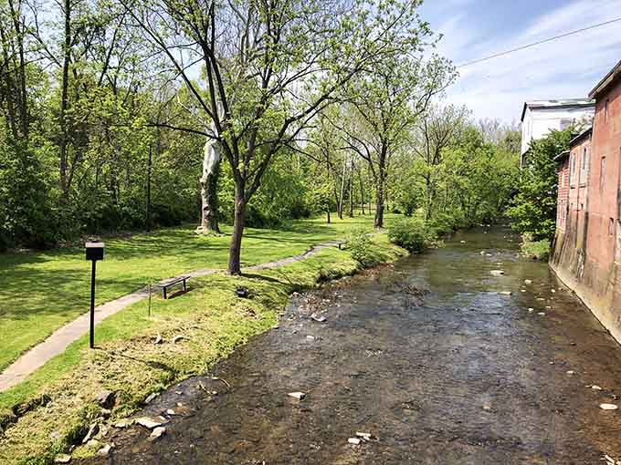 Peaceful creekside parks offer the perfect spot to sit, breathe deep, and remember what relaxation actually feels like.