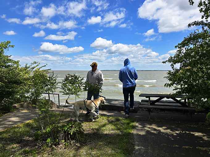 Standing at the water's edge contemplating whether that's profound wisdom or just really good people-watching happening here.