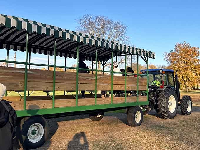 Seasonal hayrides add authentic agricultural charm to your journey through this remarkably preserved historical experience.