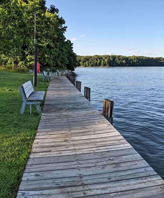 Waterside benches offer front-row seats to nature's daily show, no ticket required for admission.