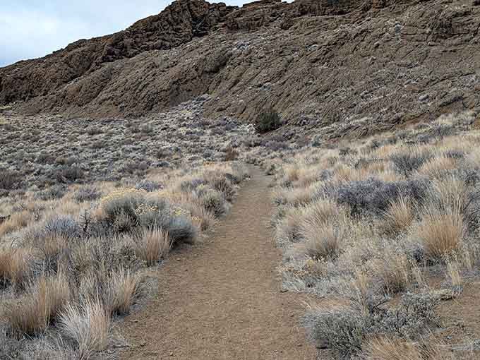 Desert trails wind through sagebrush and volcanic terrain, offering solitude that's increasingly rare in modern Oregon.