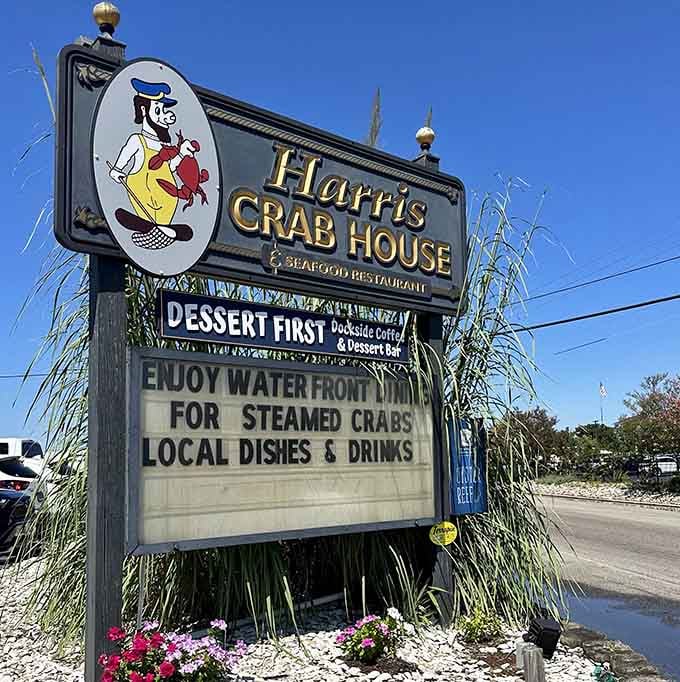 That cheerful sign promises steamed crabs and waterfront dining, and it delivers on both counts spectacularly well.