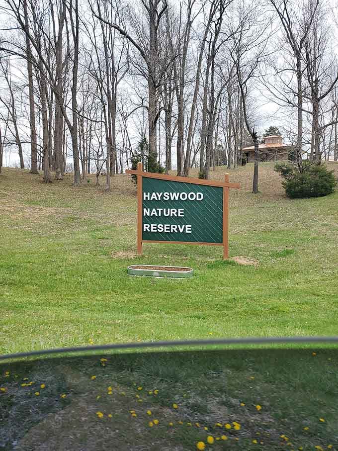 That clean, modern sign against the wooded hillside promises adventures waiting just beyond the trees.