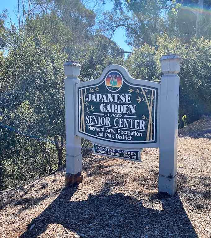 This sign marks the entrance to your new favorite escape from reality, no passport required for this journey.