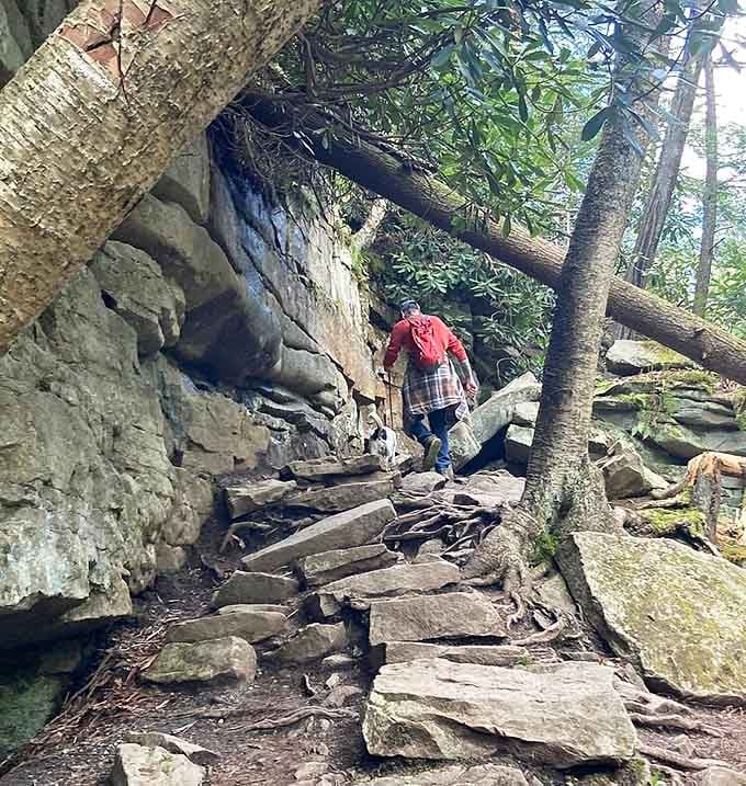 The trails get rocky in spots, but proper footwear and determination conquer most obstacles pretty easily.
