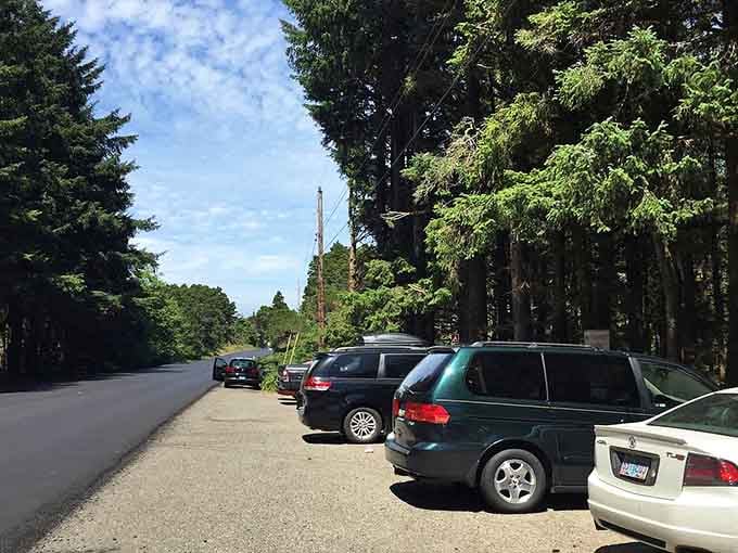 When the parking area fills up, you know the secret's out, but somehow the trail never feels crowded.