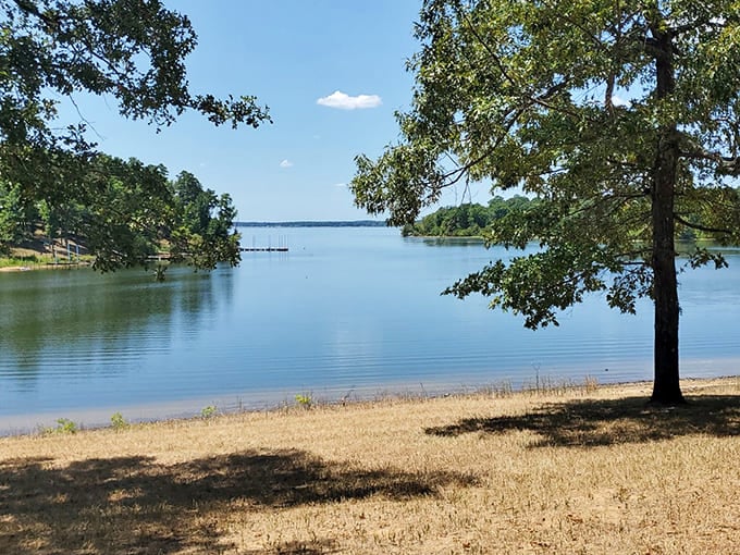 Caddo Lake's tranquil waters reflect the sky like nature's mirror, a peaceful reminder that sometimes the best attractions aren't built by human hands at all.