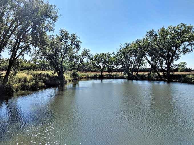 Tranquil waters of Indian Creek Pond reflect towering trees, offering a peaceful retreat where nature provides the perfect counterpoint to Red Cloud's historical attractions.