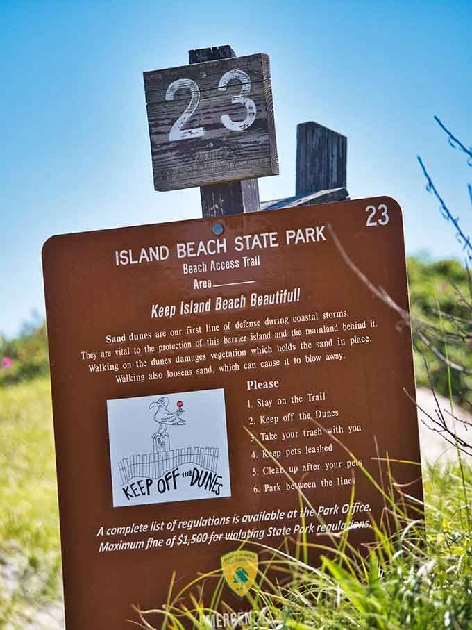 Trail markers reminding visitors that keeping off the dunes isn't a suggestion, it's survival.