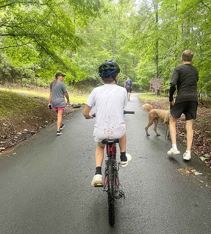Families biking together on paved trails, creating memories that don't require WiFi or screen time to appreciate.