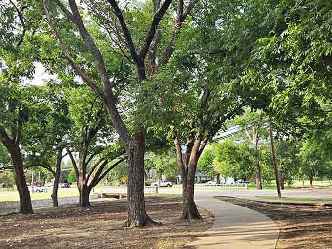 This isn't your grandfather's jungle gym, it's a multi-level adventure that makes kids forget screens even exist.