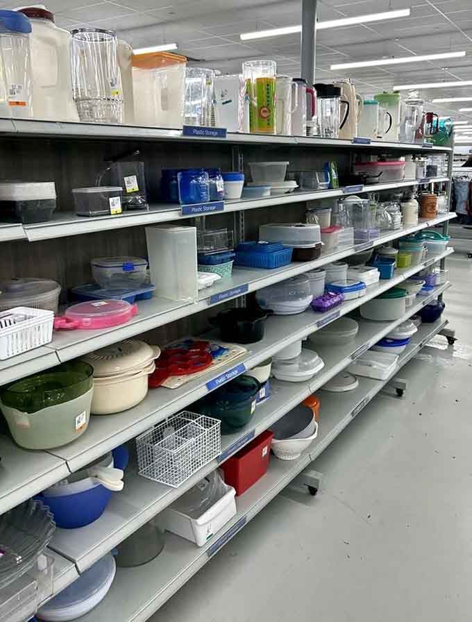 Kitchen storage solutions in every color imaginable, because even your leftovers deserve to live in style and organization.