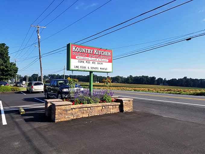A roadside sign announcing daily specials, doing more honest advertising than a million-dollar marketing campaign ever could for this gem.