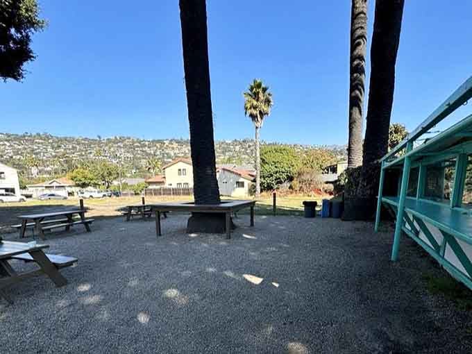 Outdoor picnic tables under palm trees, turning a simple meal into a California coastal experience.