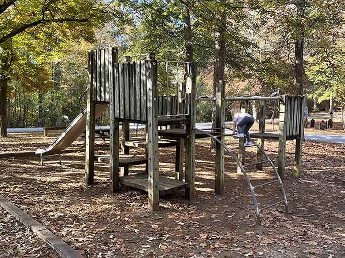 The playground keeps young explorers entertained while parents relax nearby, proving family fun requires minimal technology and maximum imagination.
