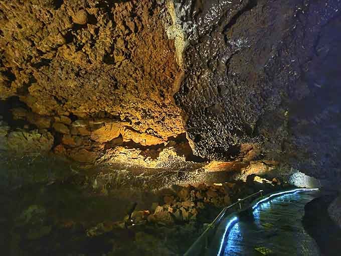The smooth, rippled ceiling shows exactly where ancient lava once flowed before draining away completely.